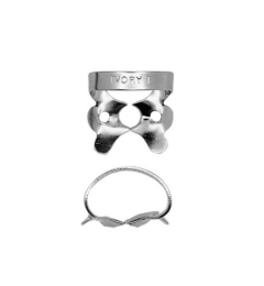 Ivory Clamps | Independent Dental Supplies