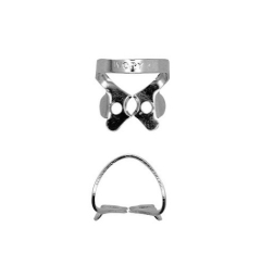 Ivory Clamps | Independent Dental Supplies